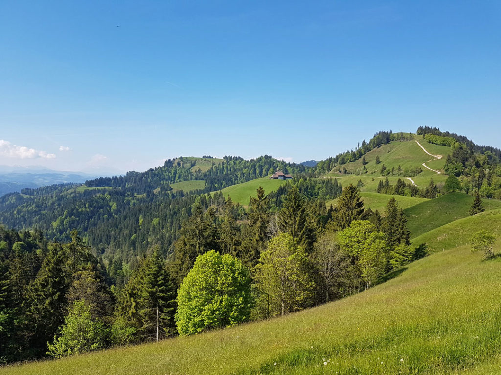 Rundwanderung zum Berghotel Napf - Tagesausflug